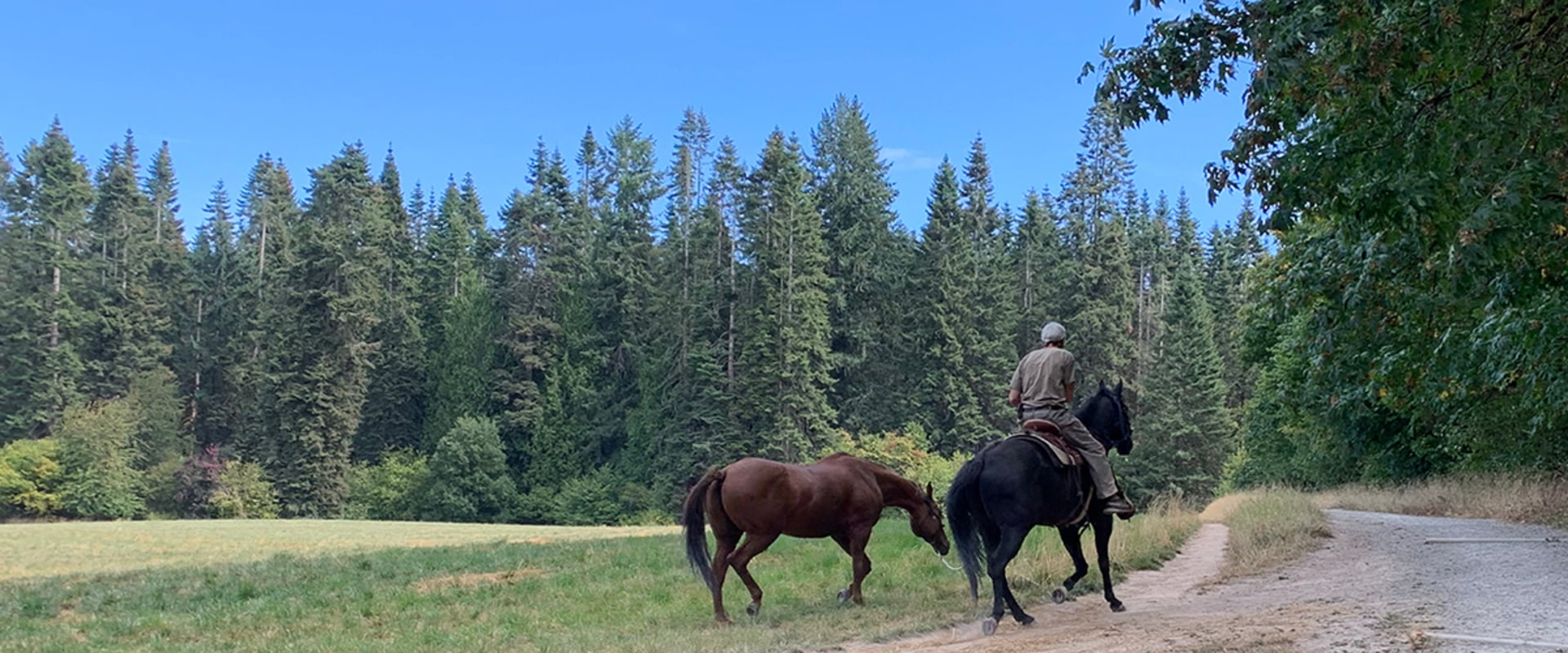 The Ultimate Guide to Starting a Community Group in Clark County, WA