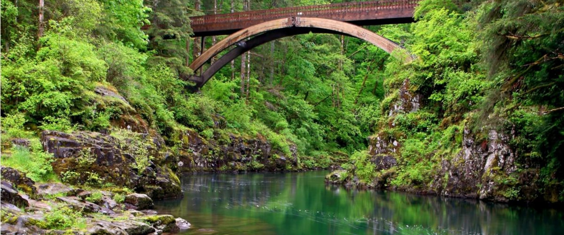 Finding Your Community: Exploring Community Groups in Clark County, WA